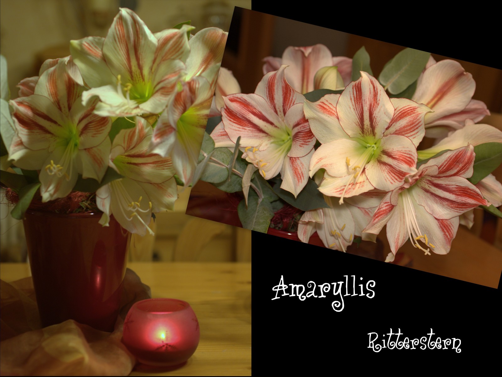 Deko ღ KleinFeinMein ღ von Josephinchen - 18068 - Zimmerschau