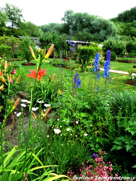 Garten Unser Berliner Klein von lacosmopolita - 36339 - Zimmerschau